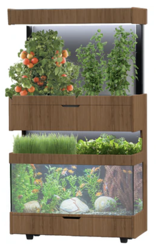 Home Planting - 7 Innovative Indoor Gardening Solutions