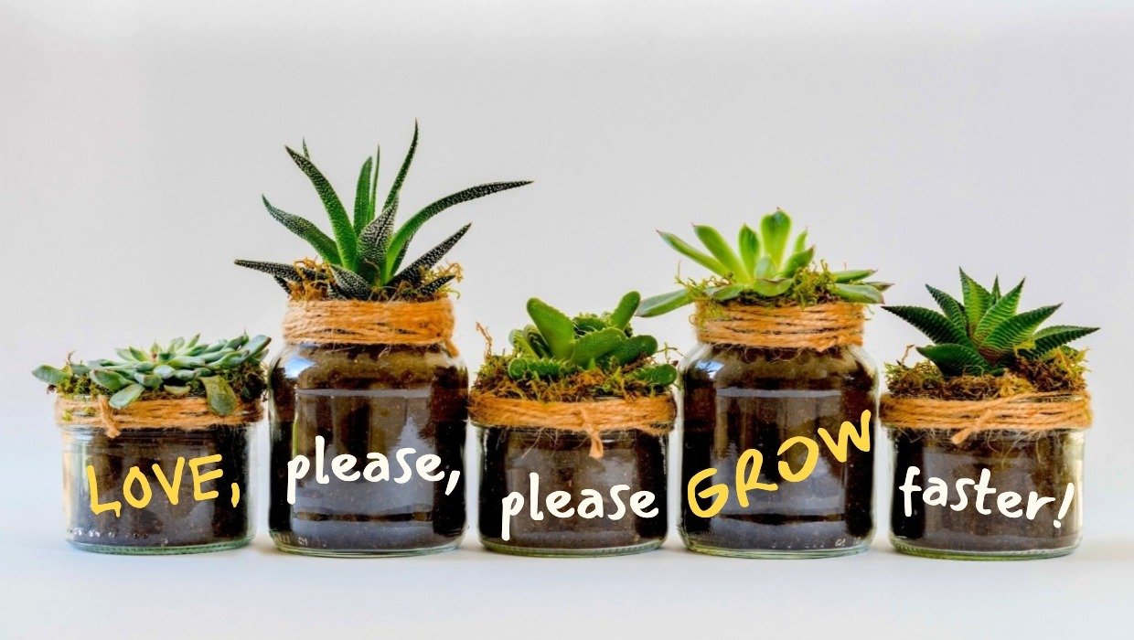 Home Planting - 7 Innovative Indoor Gardening Solutions